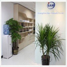 Guangzhou Sam Cosmetic Company Ltd.