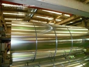 China Christmas Gift 12Micron Hot Stamping Foil Transparent Holographic Film supplier