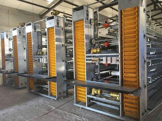 China Steel Structure Chicken House Design chicken house for sale Cage Layer Chicken House china supplier