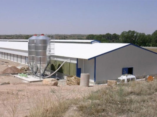 Hot Galvanized Automatic Chicken Cage/Poultry Farm House Design custom steel structure chicken house supplier