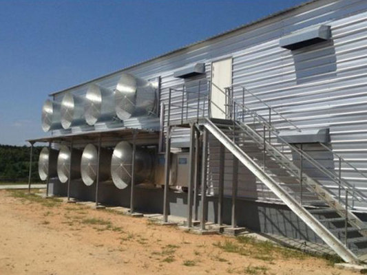 Hot Galvanized Automatic Chicken Cage/Poultry Farm House Design custom steel structure chicken house supplier