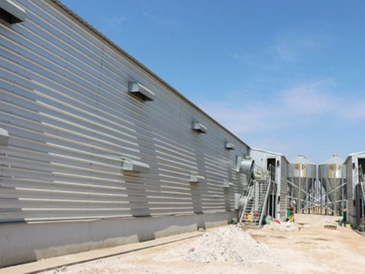 Hot Galvanized Automatic Chicken Cage/Poultry Farm House Design custom steel structure chicken house supplier