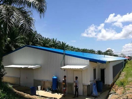 Prefabricated Steel Structure Broiler House for Poultry Shed Cage Layer Chicken House china Broiler Chicken House supplier