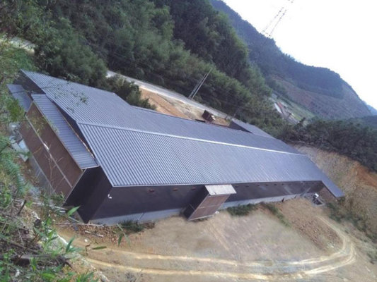 Prefabricated Steel Structure Broiler House for Poultry Shed Cage Layer Chicken House china Broiler Chicken House supplier