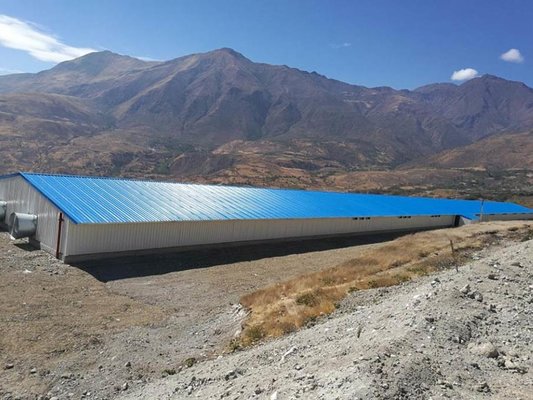 Prefabricated Steel Structure Broiler House for Poultry Shed Cage Layer Chicken House china Broiler Chicken House supplier