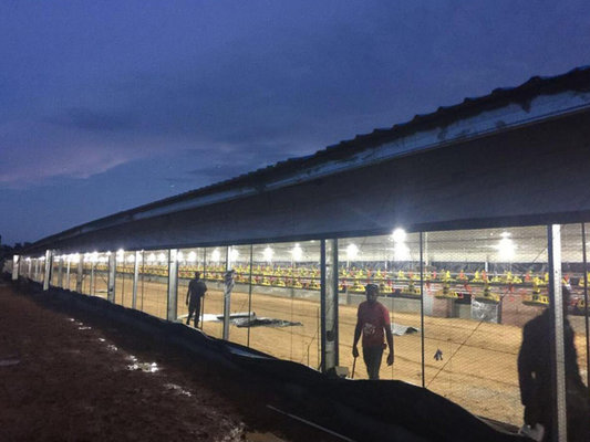 Prefabricated Steel Structure Broiler House for Poultry Shed Cage Layer Chicken House china Broiler Chicken House supplier