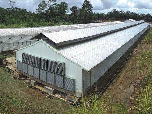 Steel Structure Chicken House Design chicken house for sale Cage Layer Chicken House china supplier