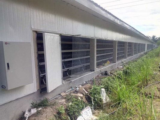 Steel Structure Chicken House Design chicken house for sale Cage Layer Chicken House china supplier