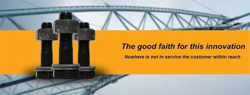 Steel Structure Bolt