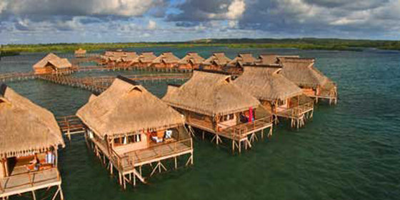 Yellow Overwater Bungalow 