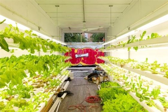 Hydroponic Farming Prefab Container Homes 