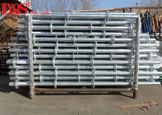 Quick Erecting Scaffold Ring Lock System 3 Meters Vertical Standards HDG Treatment