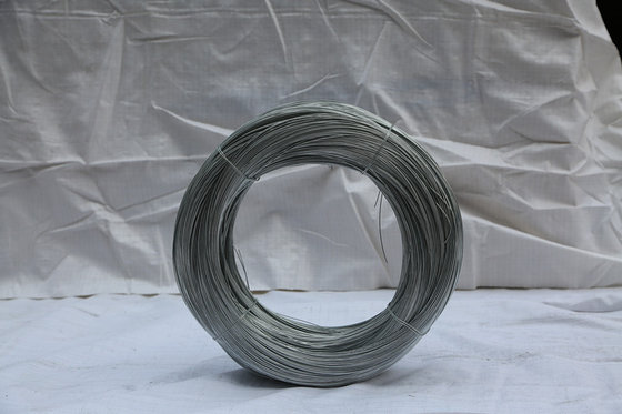 China G.I Galv Steel Electro-Galvanized Iron Wire Binding Welded Mesh Silver supplier