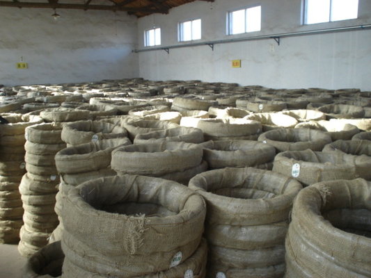 25kg / coil hot dipped galvanized wire for welded mesh chain link fence supplier