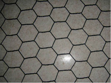Customized High Tensile Strength hexagonal wire netting , Chicken Wire Mesh supplier
