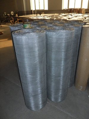 Electro Galvanized Square Wire Mesh Electro Woven Wire Mesh Silver supplier