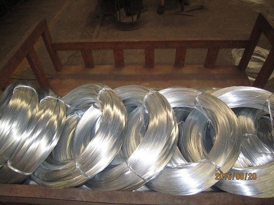 Bright and Soft Electro-Galvanized Iron Wire for weaving Hexagonal mesh supplier