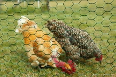 3" 4" Galvanized Hexagonal Wire Mesh / Netting Erosion - Resisting supplier