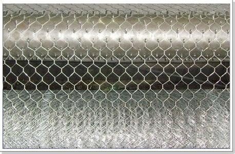3" 4" Galvanized Hexagonal Wire Mesh / Netting Erosion - Resisting supplier