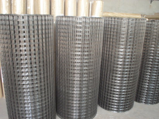 AISI304 AISI316 Stainless Steel Wire Mesh Welded Mesh Sheets supplier