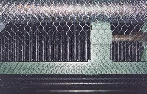 1" 2" Mild Steel Hexagonal Wire Mesh Fences For Poultry Cage supplier
