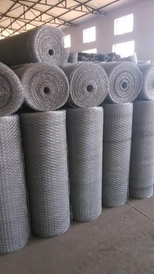 Hot Dipped Galvanized PVC Coated Chain Link Fence wall Pasture Wire Mesh supplier