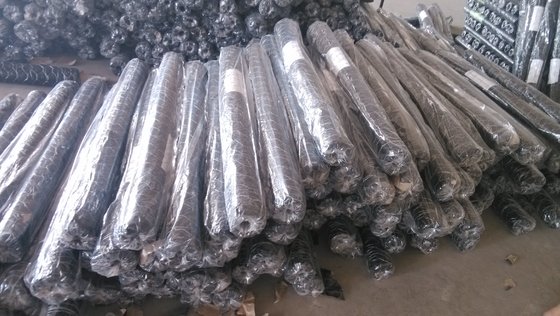 Hot Dipped Galvanized PVC Coated Chain Link Fence wall Pasture Wire Mesh supplier