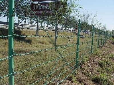 Low Carbon Hot Dipped Electro-Galvanized Iron Wire , Double Strand Barbed Wire supplier