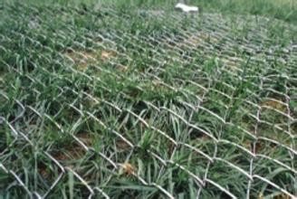 1" 2" Flexible Plastic Coated Chain Link Fencing For Hillside Protection supplier
