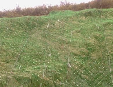 1" 2" Flexible Plastic Coated Chain Link Fencing For Hillside Protection supplier