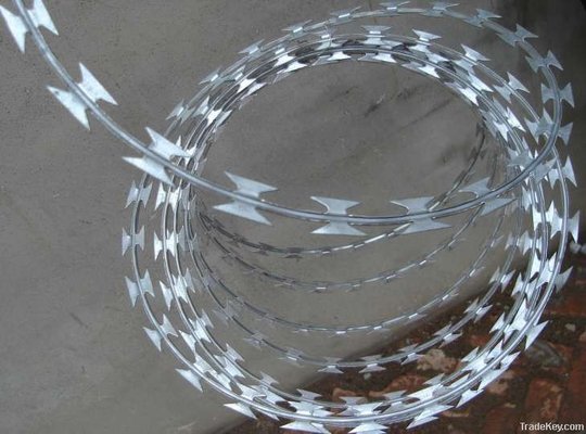 Electro-Galvanized Iron Wire Concertina Razor Barbed Wire Fencing supplier