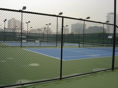 Durable Iron Wire PVC Coated Chain Link Fence For Football Field Fence supplier