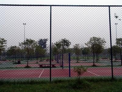 Durable Iron Wire PVC Coated Chain Link Fence For Football Field Fence supplier