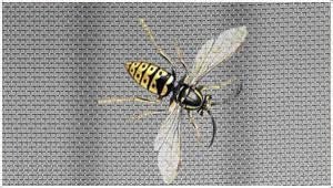Plain Weave Wire Mesh window mosquito netting by the yard , White PVC Coated supplier