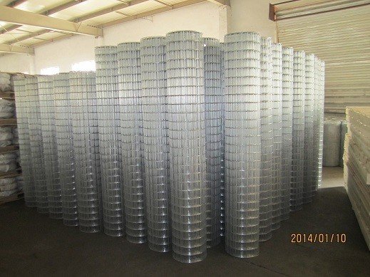 Hot Dipped Galvanized Welded Wire Mesh Tennis Court Fencing Net 1" x 2" supplier