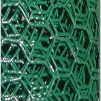 Zinc - Plating / Galvanized Wire Fence Plastic Coated Chicken Wire Mesh supplier