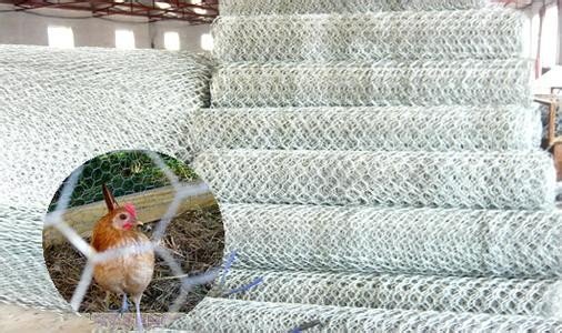 Twisting / Braiding PVC Coated industrial wire mesh , Heavy Duty Rock Fall Mesh supplier