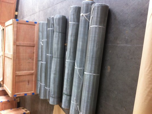 Sieving / Window Screen Electro Galvanized Square Wire Mesh / Netting supplier