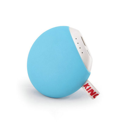 De Machtsbank van USB van de manier3000mah Beurs Draagbare/Machtsbanken voor Mobiles
