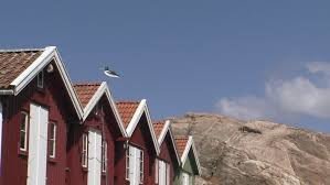 /construction building stone chips coated metal roof tiles/roof sheet/ roof panels