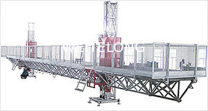 Working Height 100 m 1700 kg Double Mast Climbing Work Platform