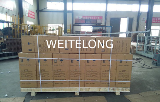 Hoist LTD6.3 LTD8.0 LTD10.0 Suspended Platform Parts With Power 1.5KW 1.8KW 2.2KW