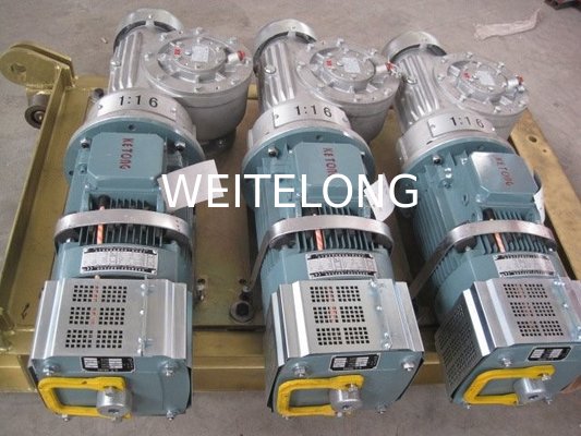 OEM 3200kg Blue Portable Construction Twin Cage Hoist 3.2 Ton High efficiency