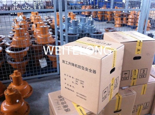 OEM 3200kg Blue Portable Construction Twin Cage Hoist 3.2 Ton High efficiency