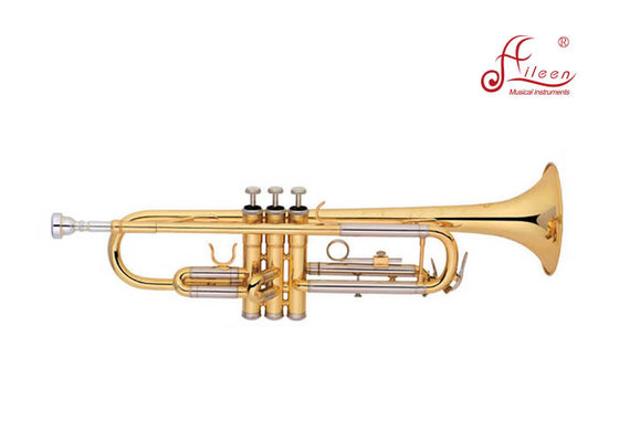 Golden Lacquered Brass Wind Instruments , Mini Pocket Trumpet With 7C Mouthpiece 11.8MM Bore