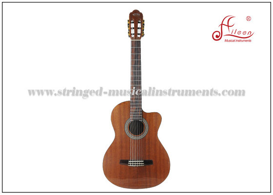 Cutaway Fretted String Instruments Sapeli Plywood Rosewood Fingerboard