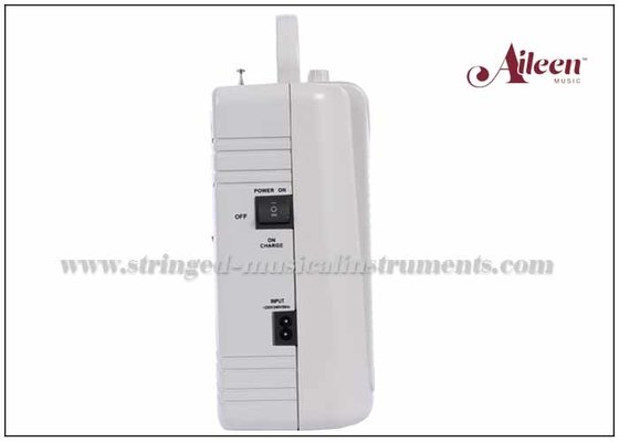 1x6" Speaker unit SD Card connector FM radio amplifier with VH F175~276 MHz Wireless receiver