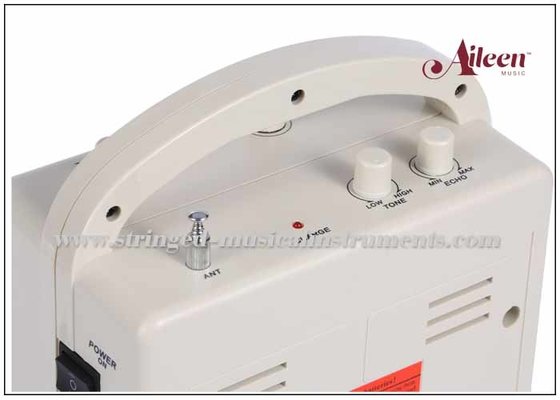 USB SD Card Connector Professional Cassette Player With 30W Output Power FM Radio Amplifier