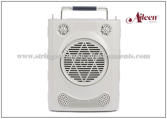 Professional Cassette player Audio PA Systems with USB SD Card connector FM radio amplifier