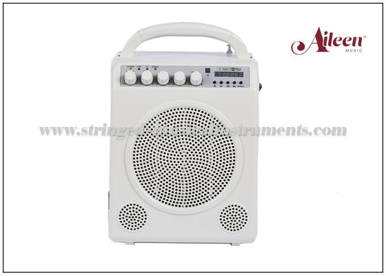 Professional FM radio with Recording / Bluetooth / USB / SD Card connector mini amplifier